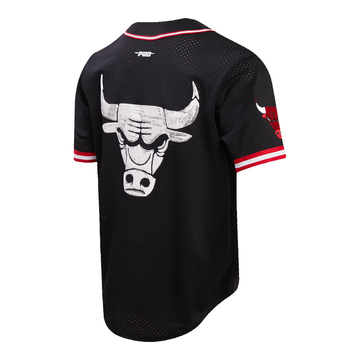The Official Chicago Bulls Store - Team & Player Jerseys, Merch & More